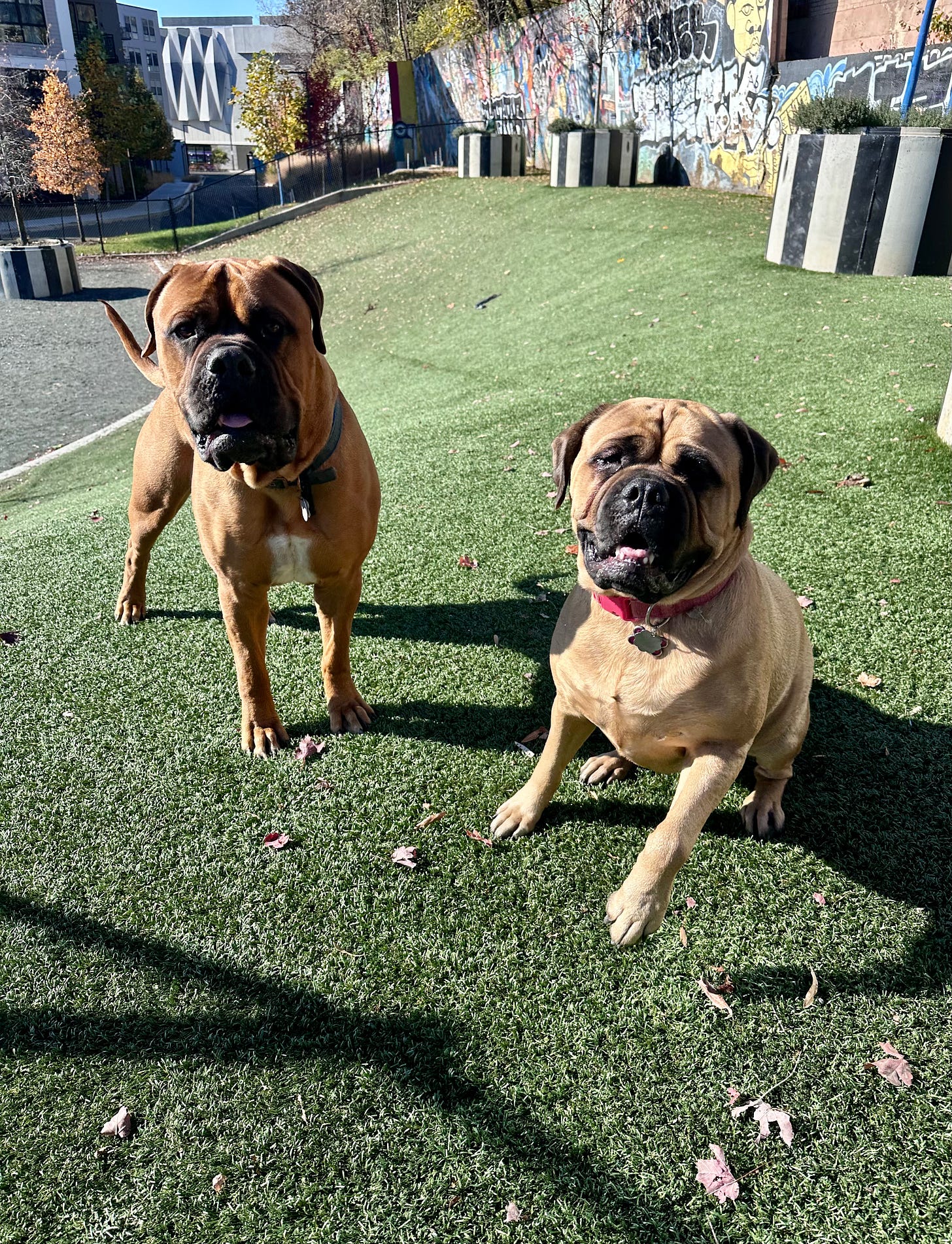 Eggnog. Just Eggnog. - by Peter Suderman