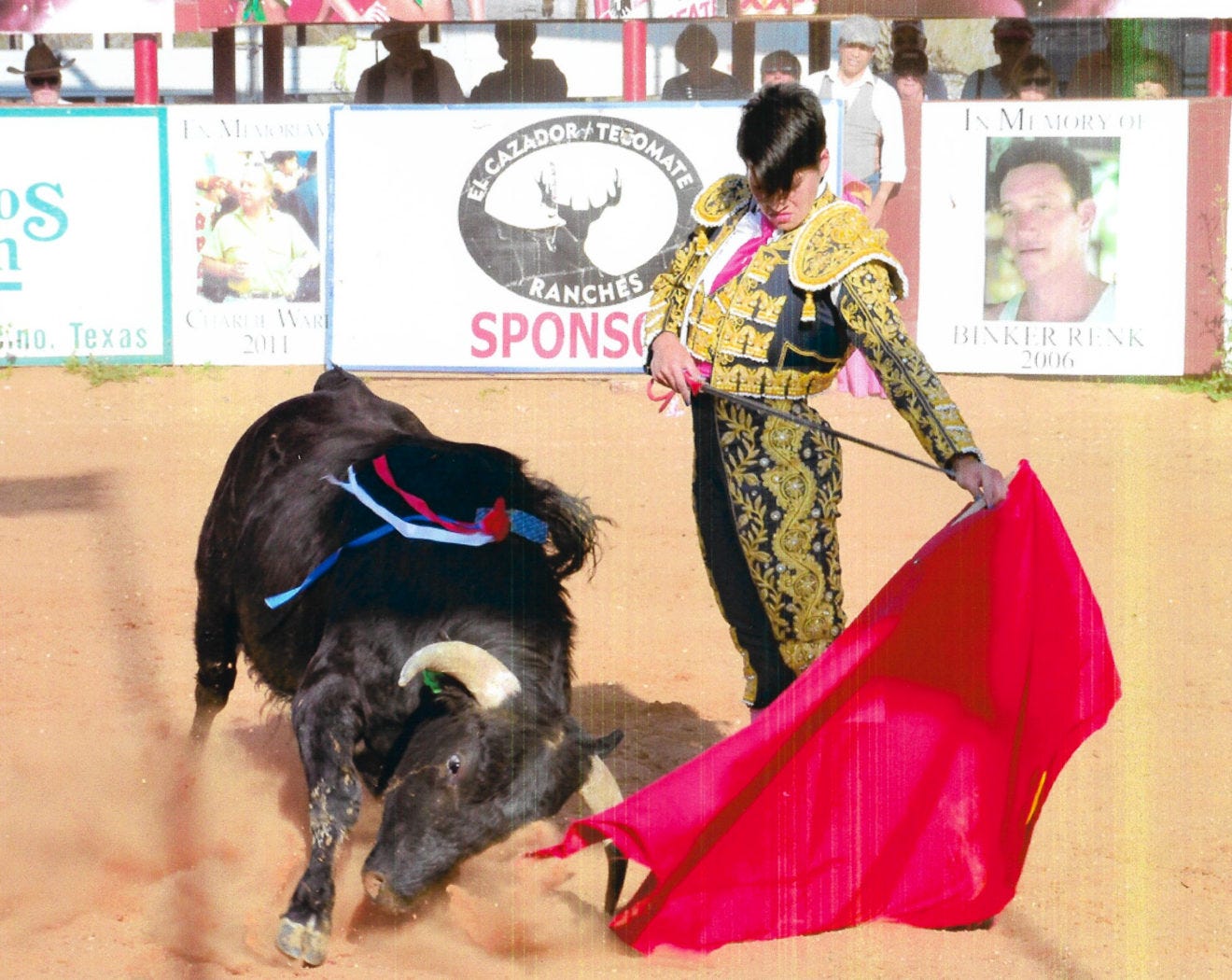 The First and Final King of Bloodless Bullfighting