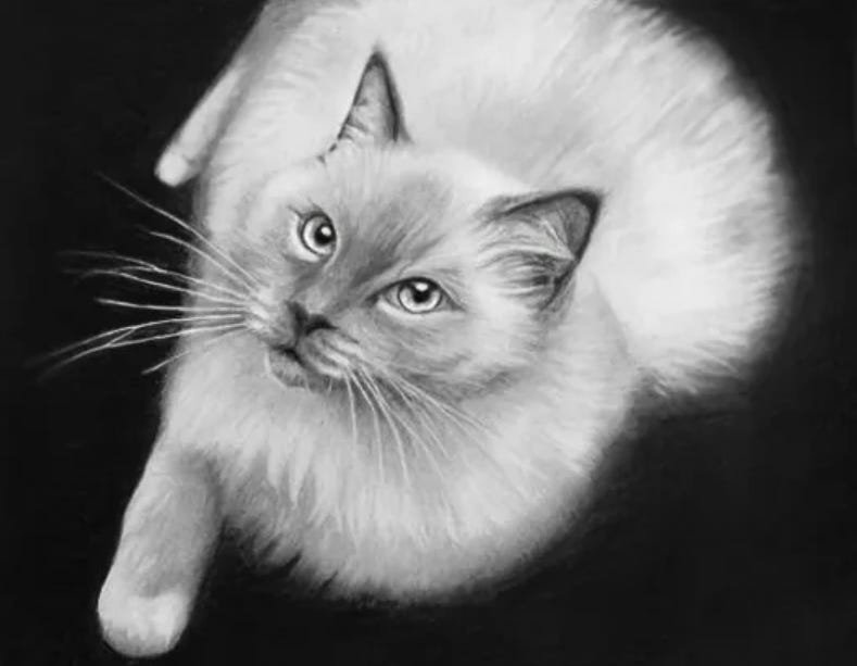 Mastering Hatching and Cross-Hatching