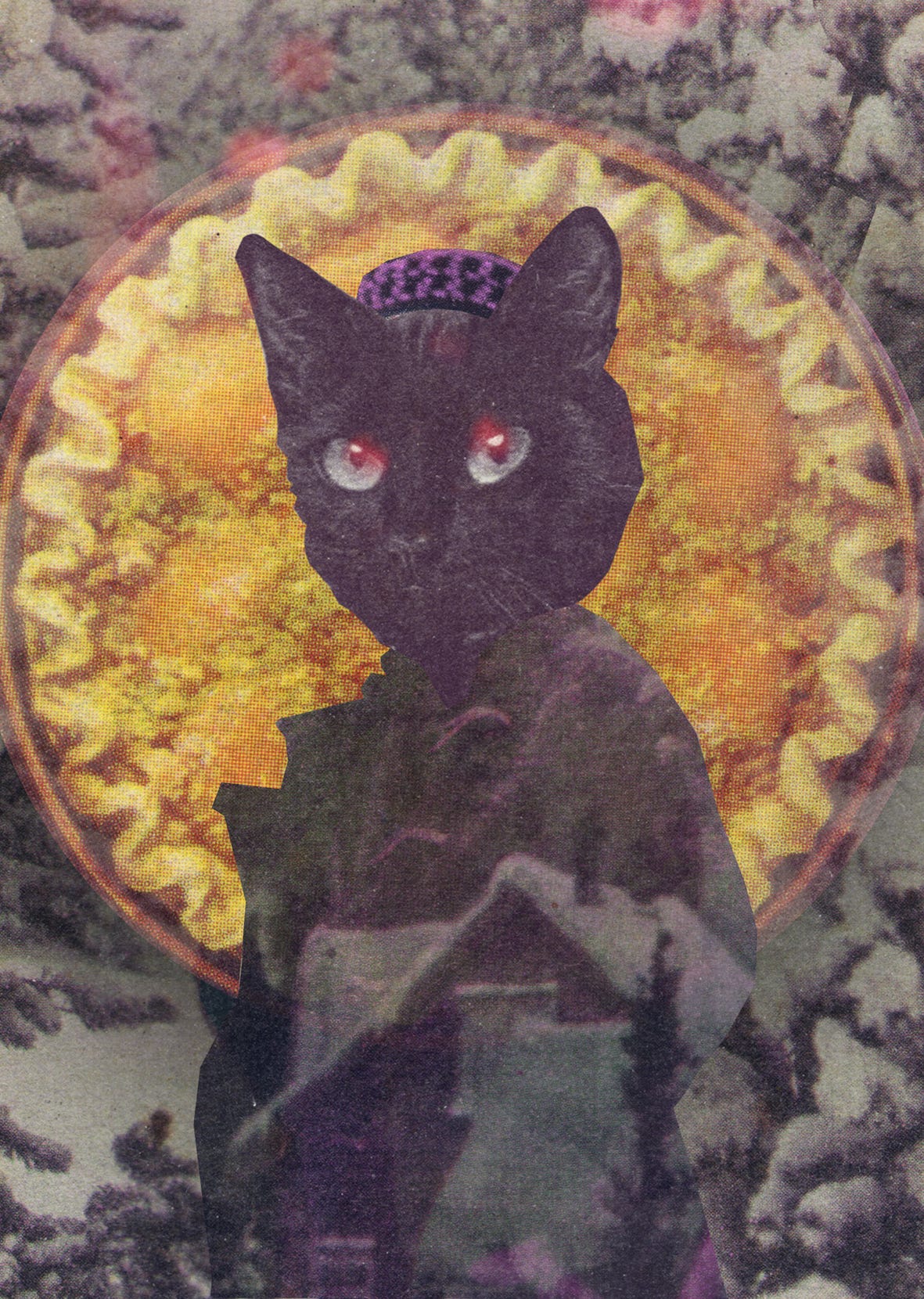 À Cause du Sommeil et À Cause des Chats - The Bonnacon