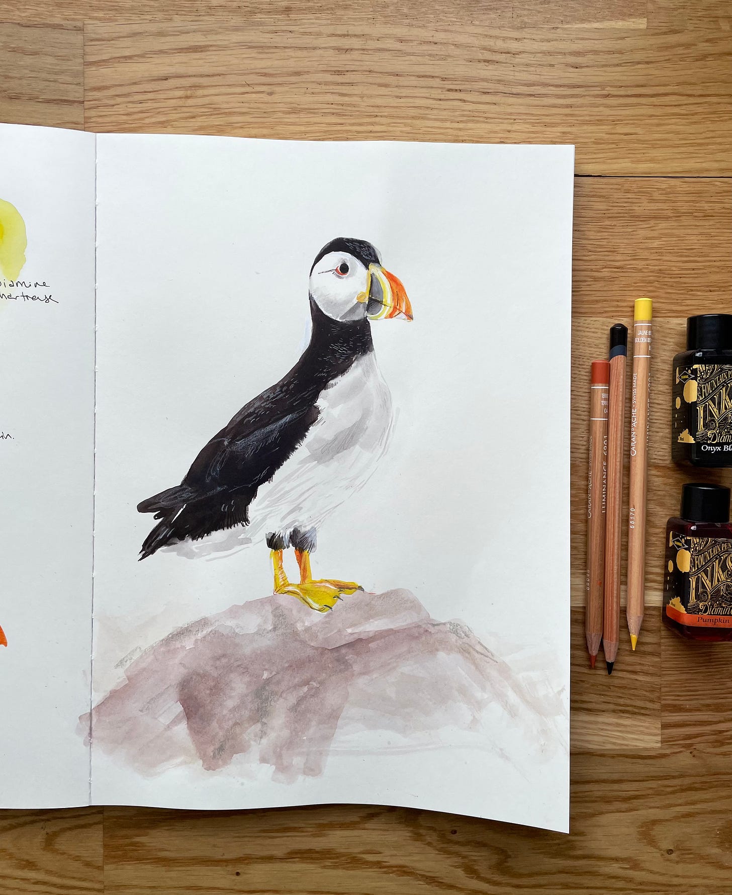 How To Draw Puffins Feet