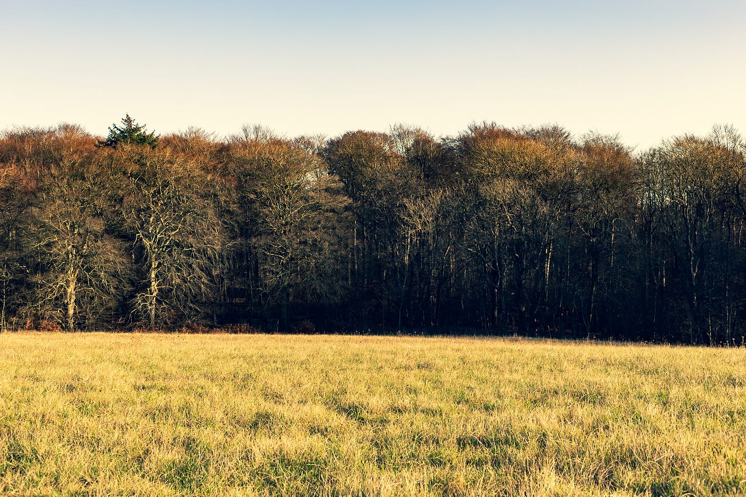 How a Photo Walk With Jon Hopkins' Singularity Became My Awakening