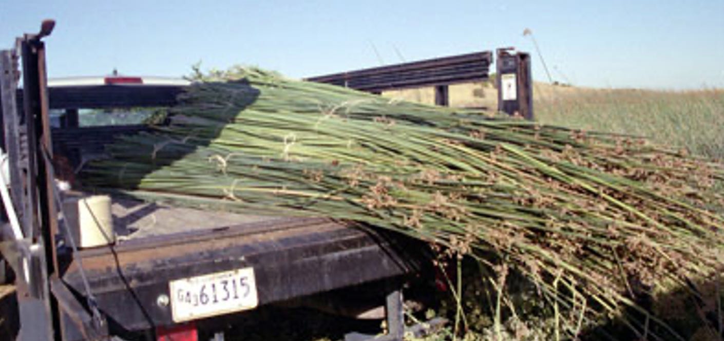 BOATS OF THE WORLD: Reed Boats - Small Craft Advisor