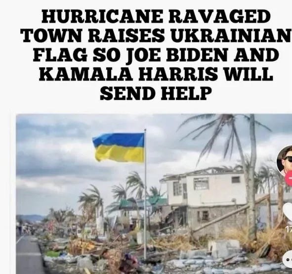 Ann Barnhardt Meme Barrage - Edwin’s Newsletter #1