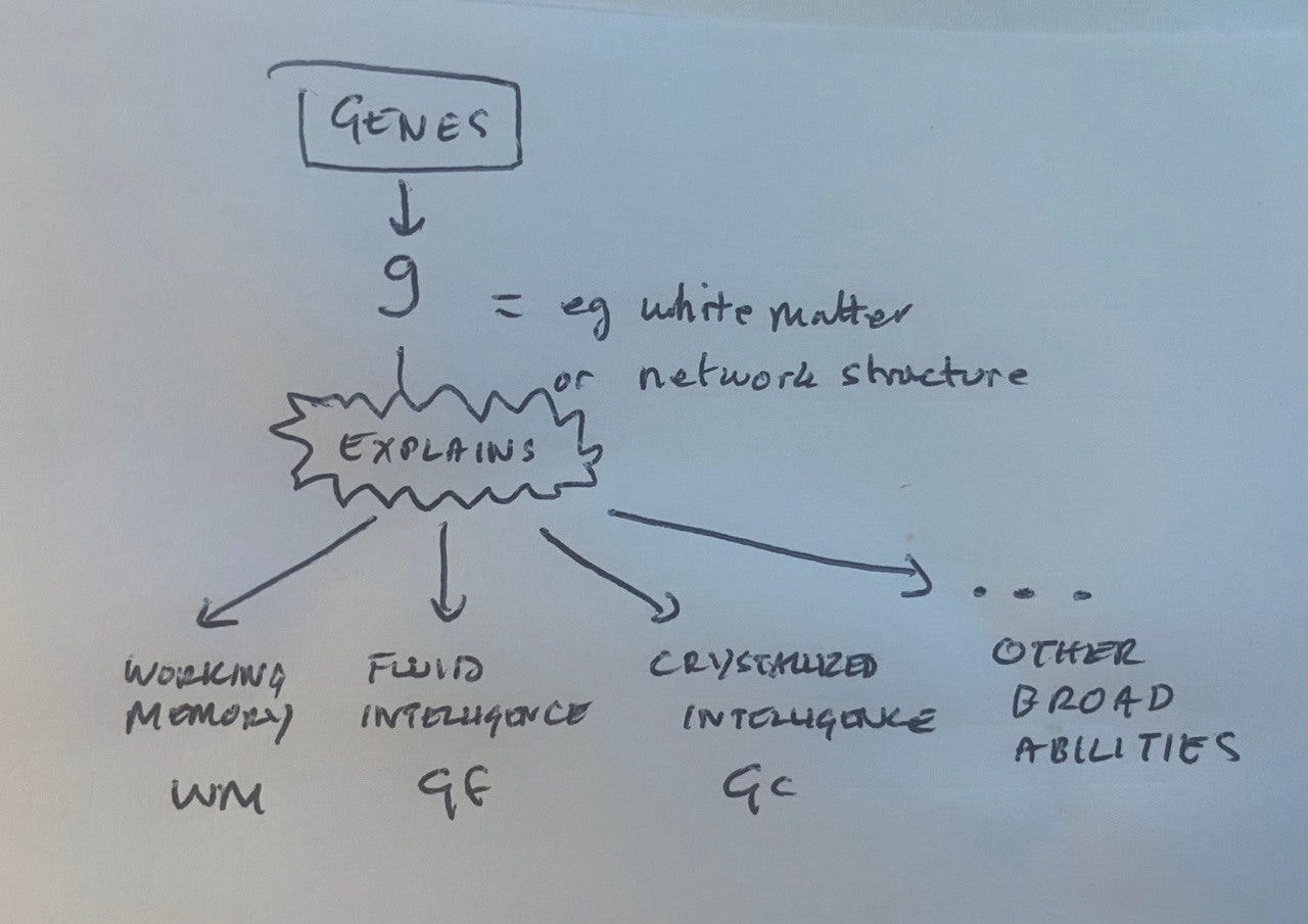 Major Theories of Intelligence: A Review