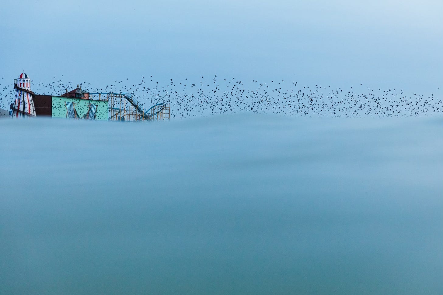 In the bird bath - by Finn Hopson - Now | Here | This