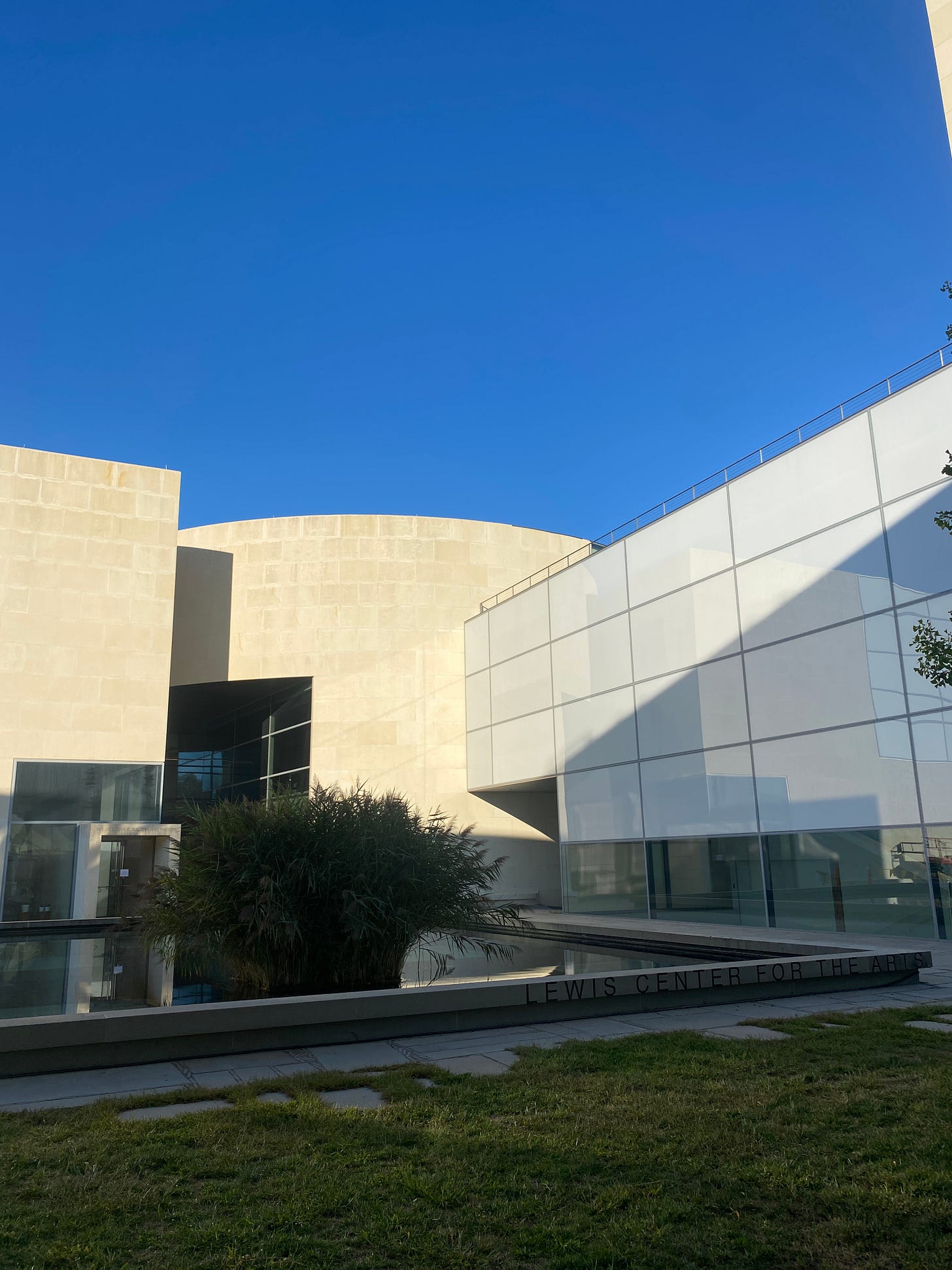 Practicing | Lynn Steger Strong | Substack