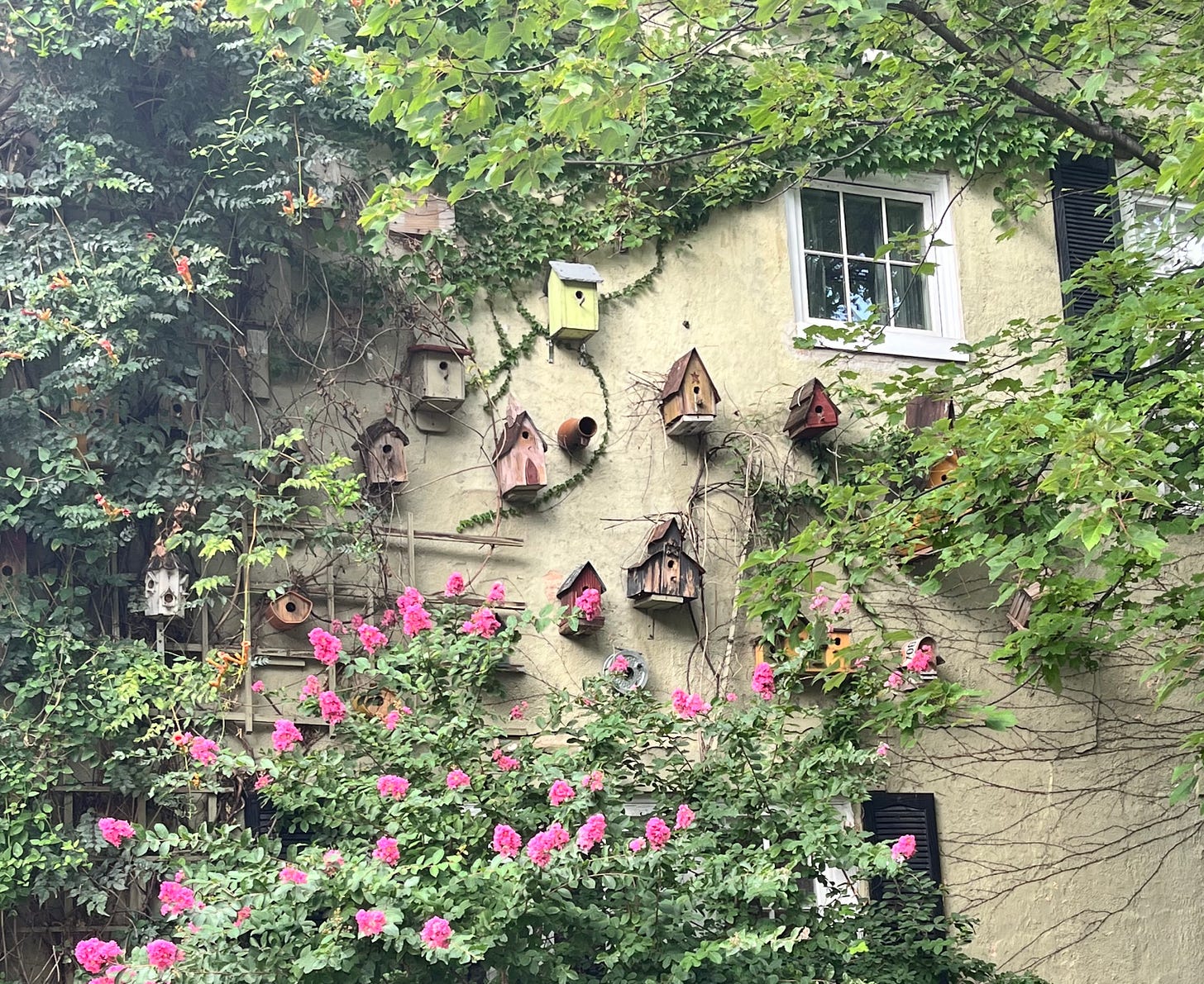 Meet the Family Behind Fitler Square’s Iconic “Birdhouse” Home