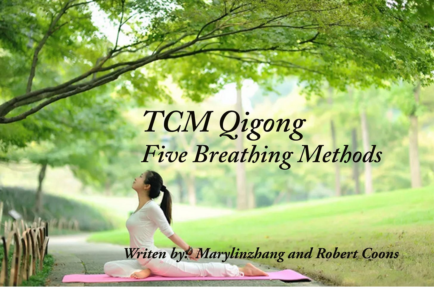 Five Breathing Methods in TCM Qigong