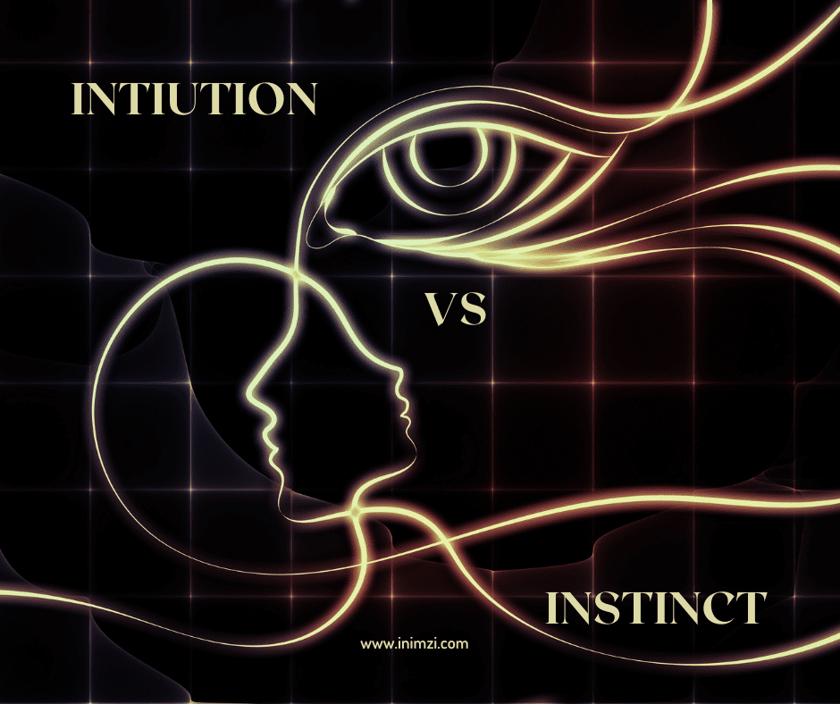 Unraveling the Difference Between Instinct and Intuition