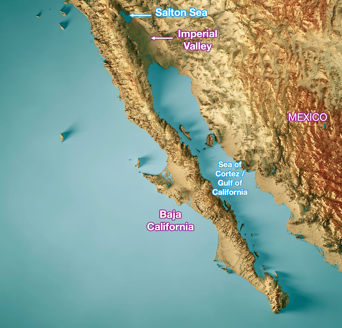 🌏 Seaflooding: Past Experience and Future Plans