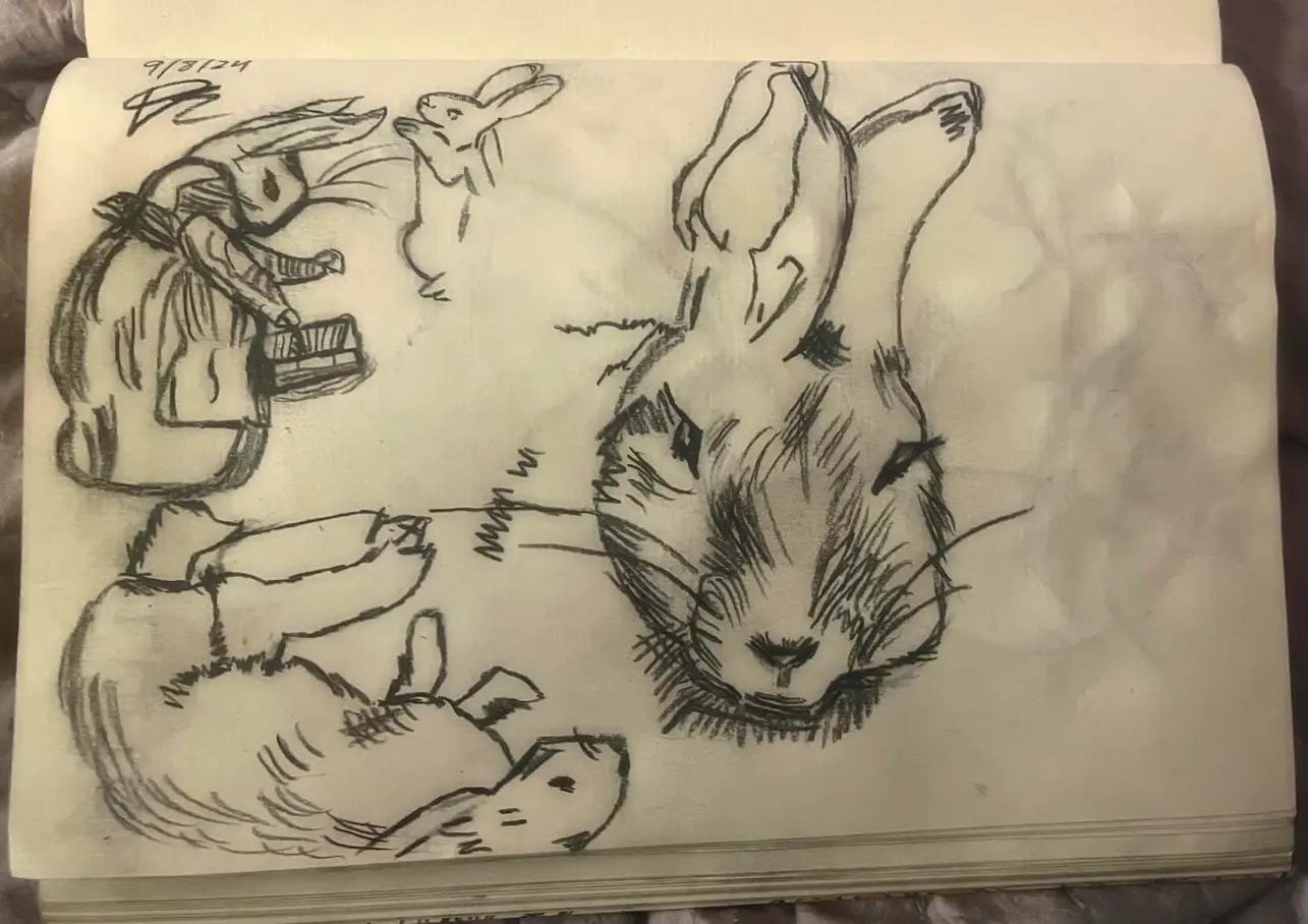 Beatrix Potter bunny sketches - Danica’s Substack