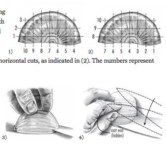 10 knives better than X-Actos – Cool Tools