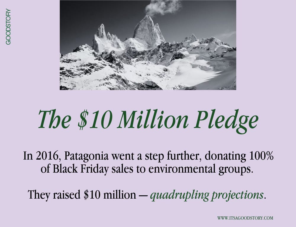Patagonia's 'Don't Buy This Jacket' Campaign: A Bold Stand on ...