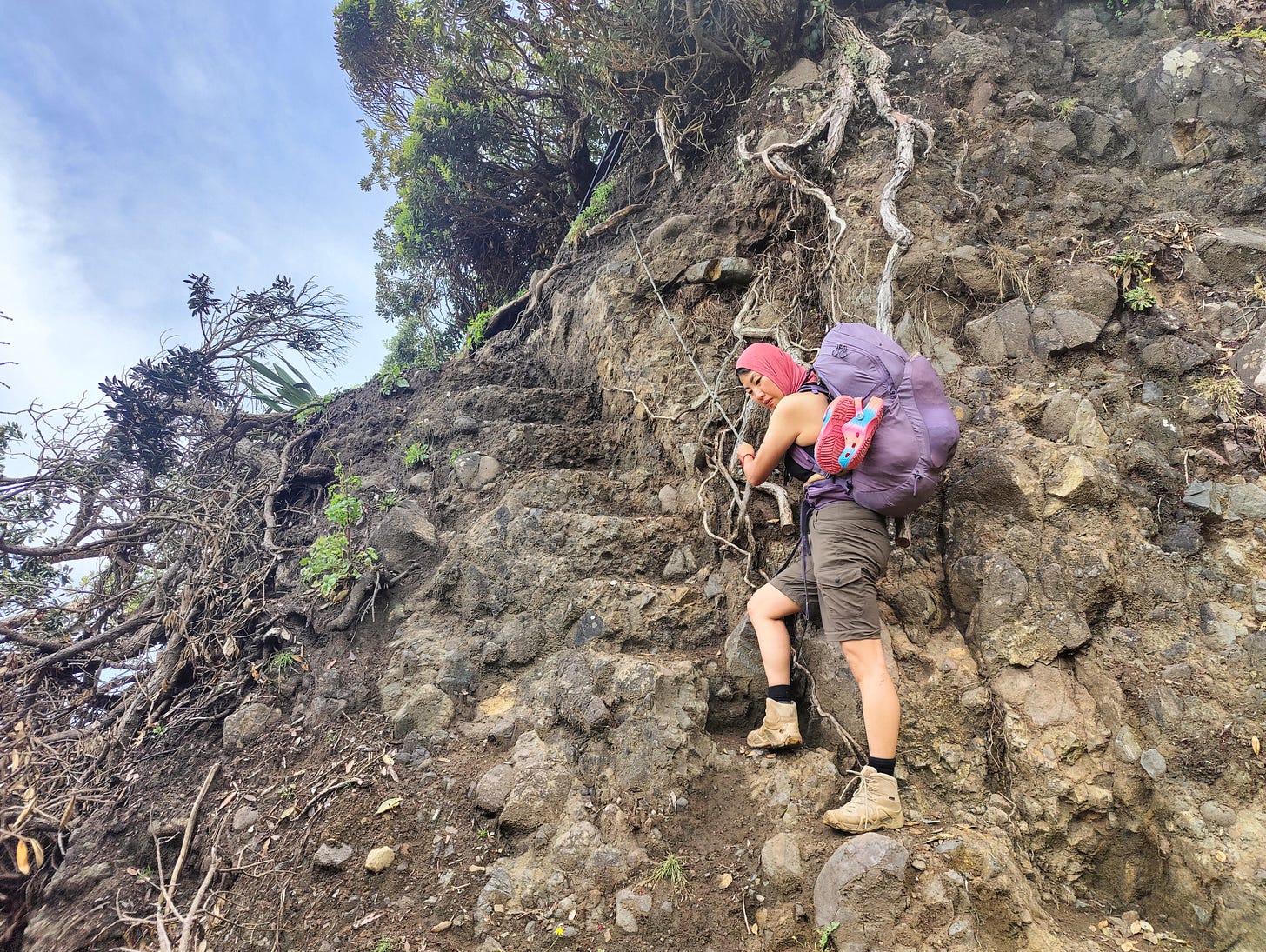 Hiking the Hillary Trail, in the Waitākere Ranges