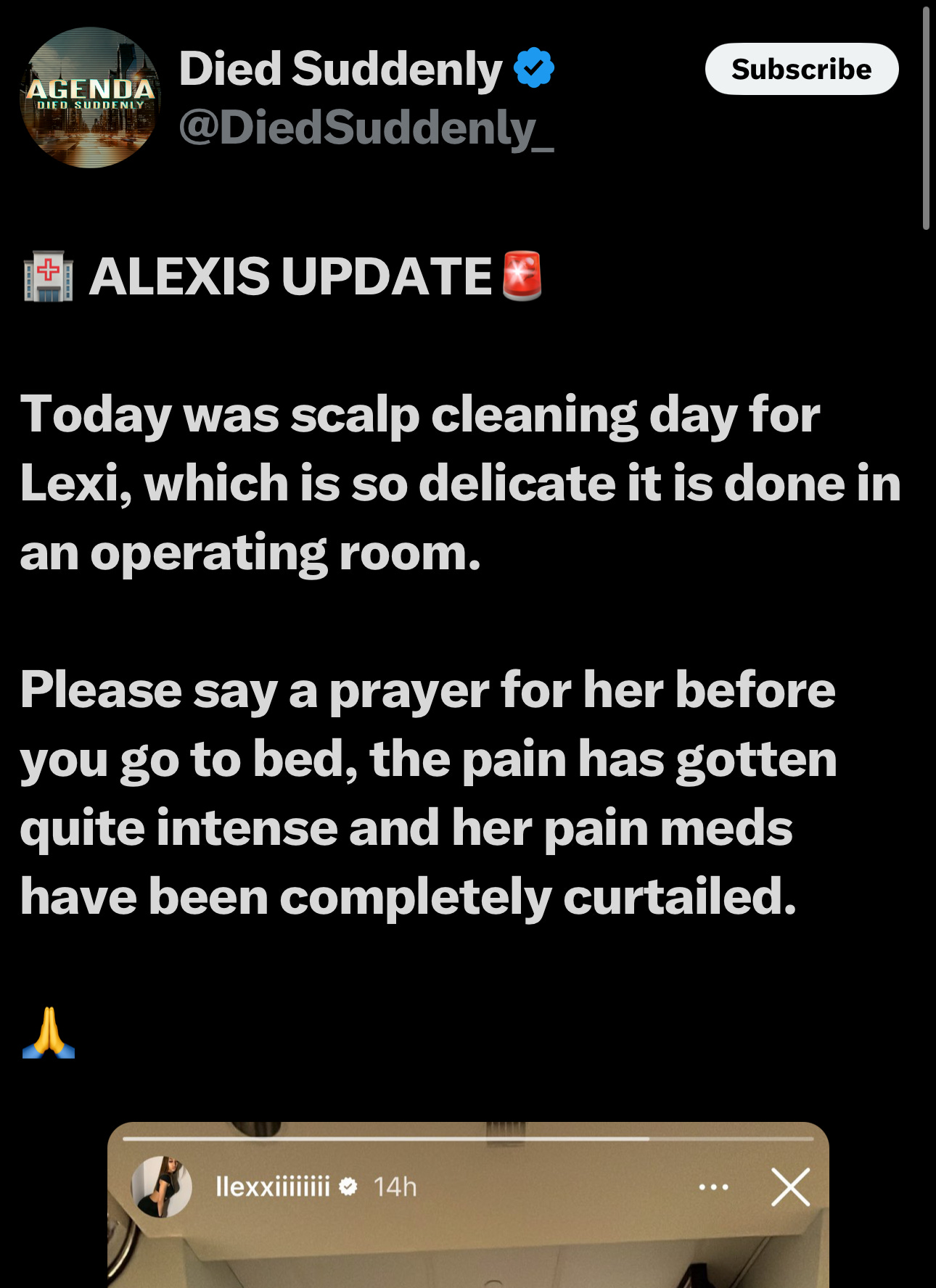 Alexis Lorenze Update - by Dr Margaret Aranda