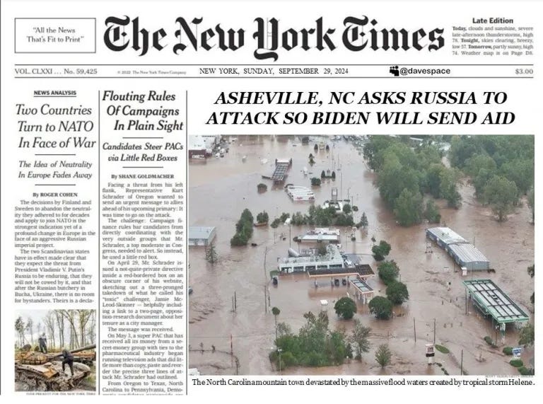 Ann Barnhardt Meme Barrage - Edwin’s Newsletter #1