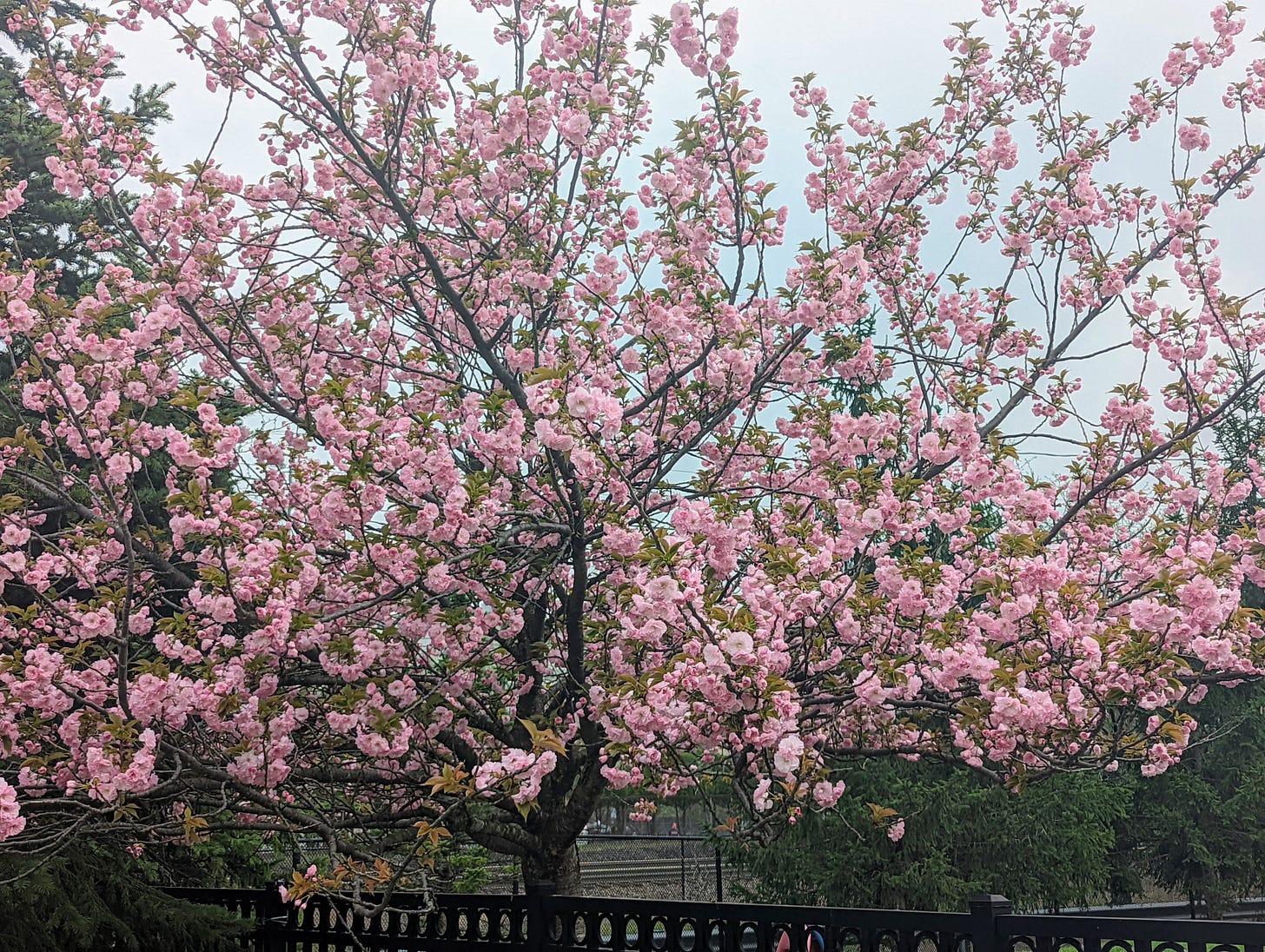 Timothy Stafford Will Not Go Away Until You Show Him The Door