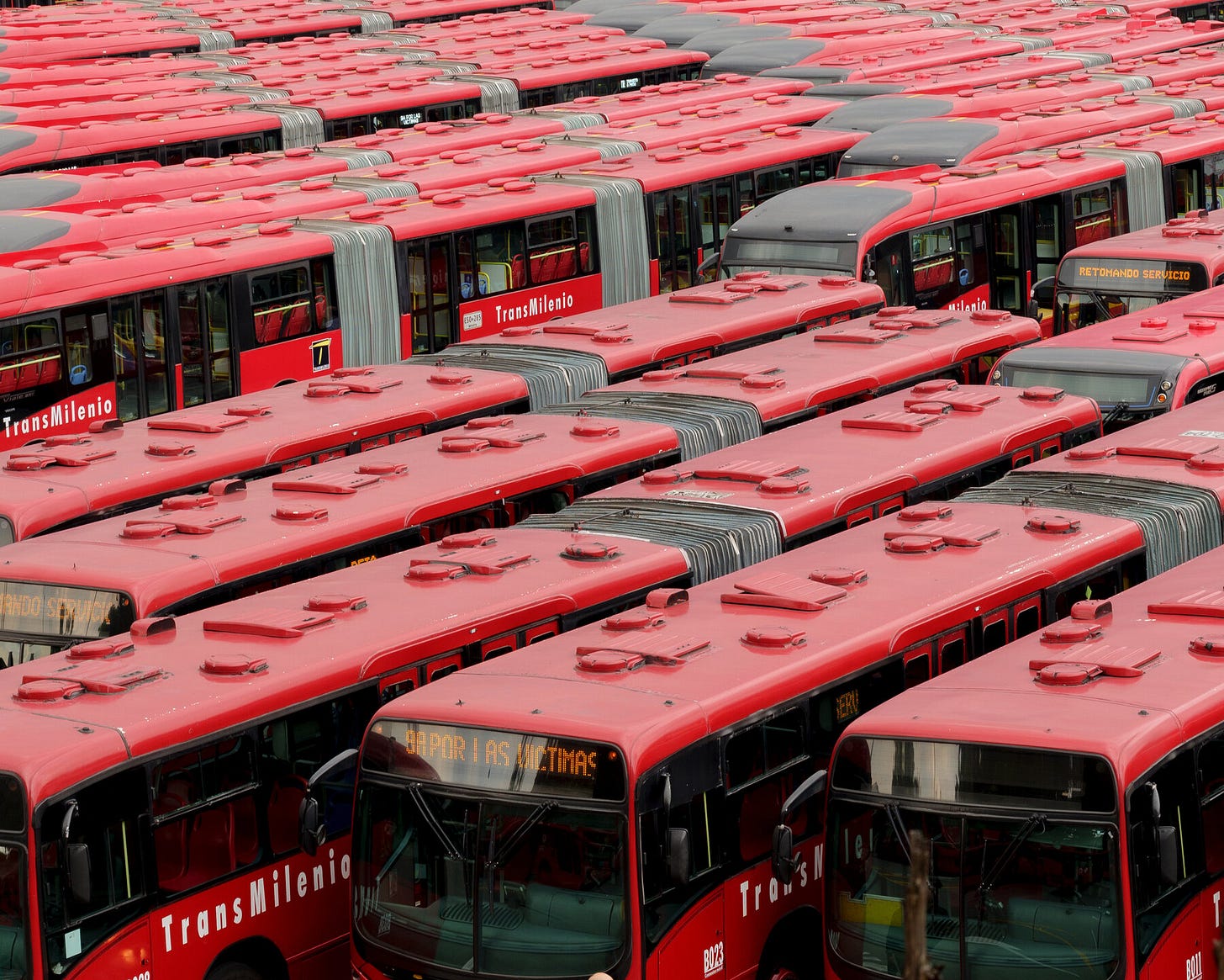 The Ink — December 26 - The Squid