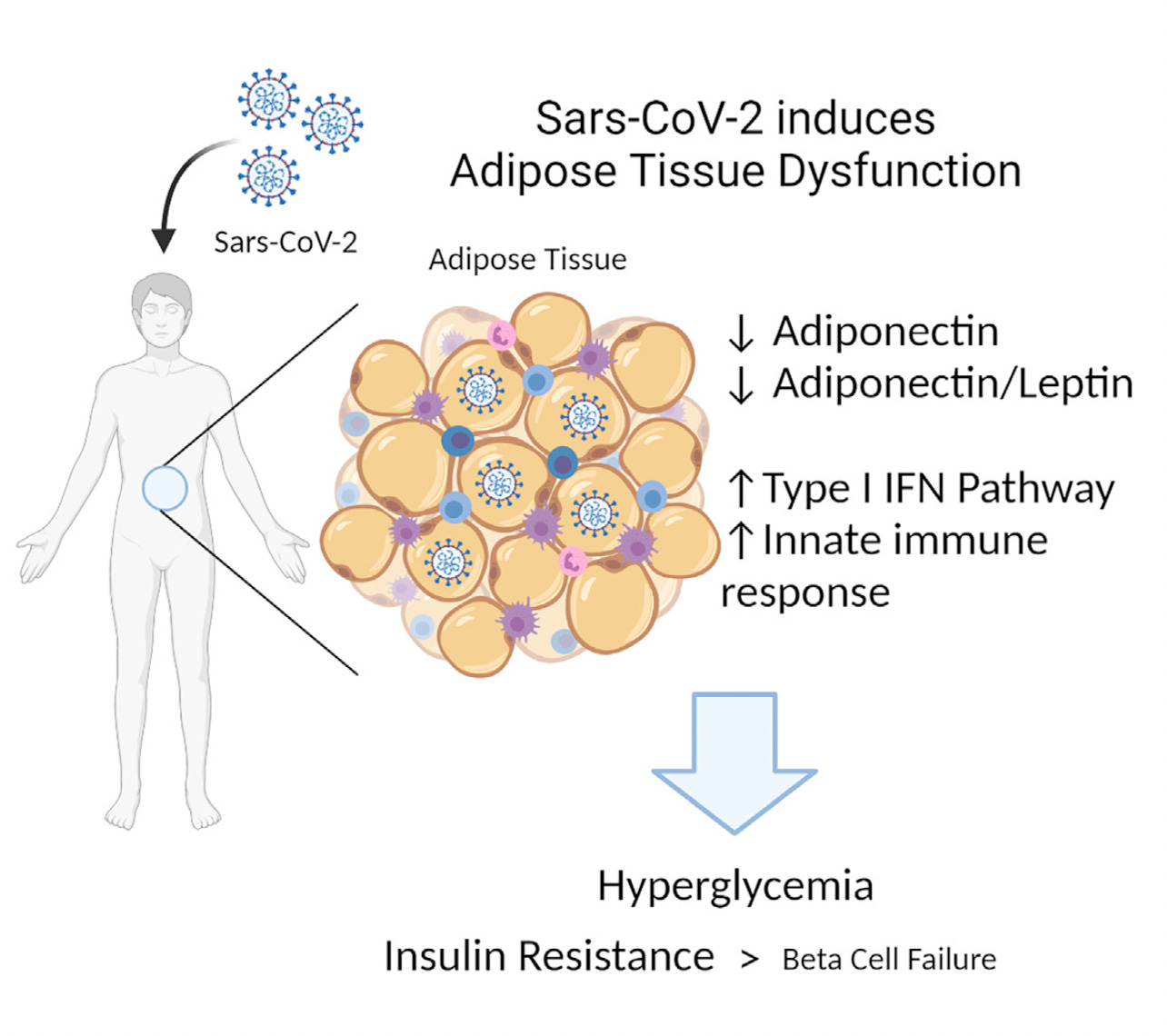New diabetes post-acute Covid (PASC, Long Covid), an inconvenient truth