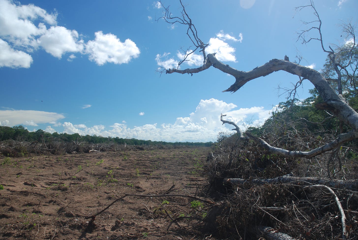 Why we need to pay urgent attention to one of Mother Earth’s great ...