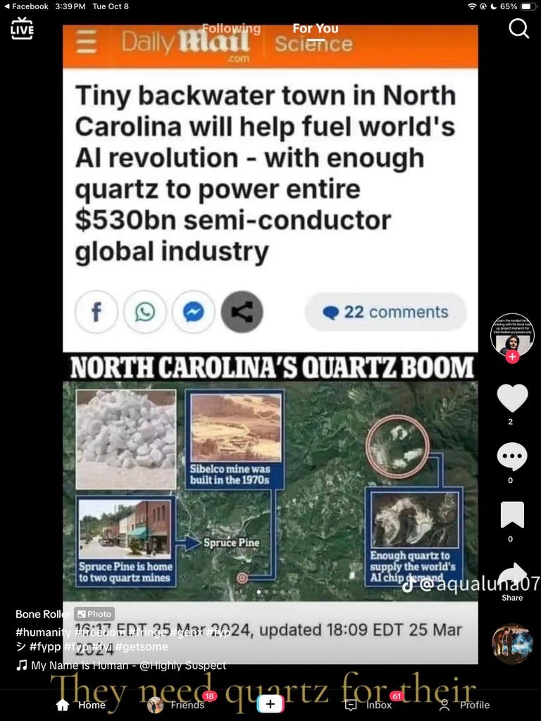 Debbie Georgatos | The Incomparable Elizabeth Nickson…