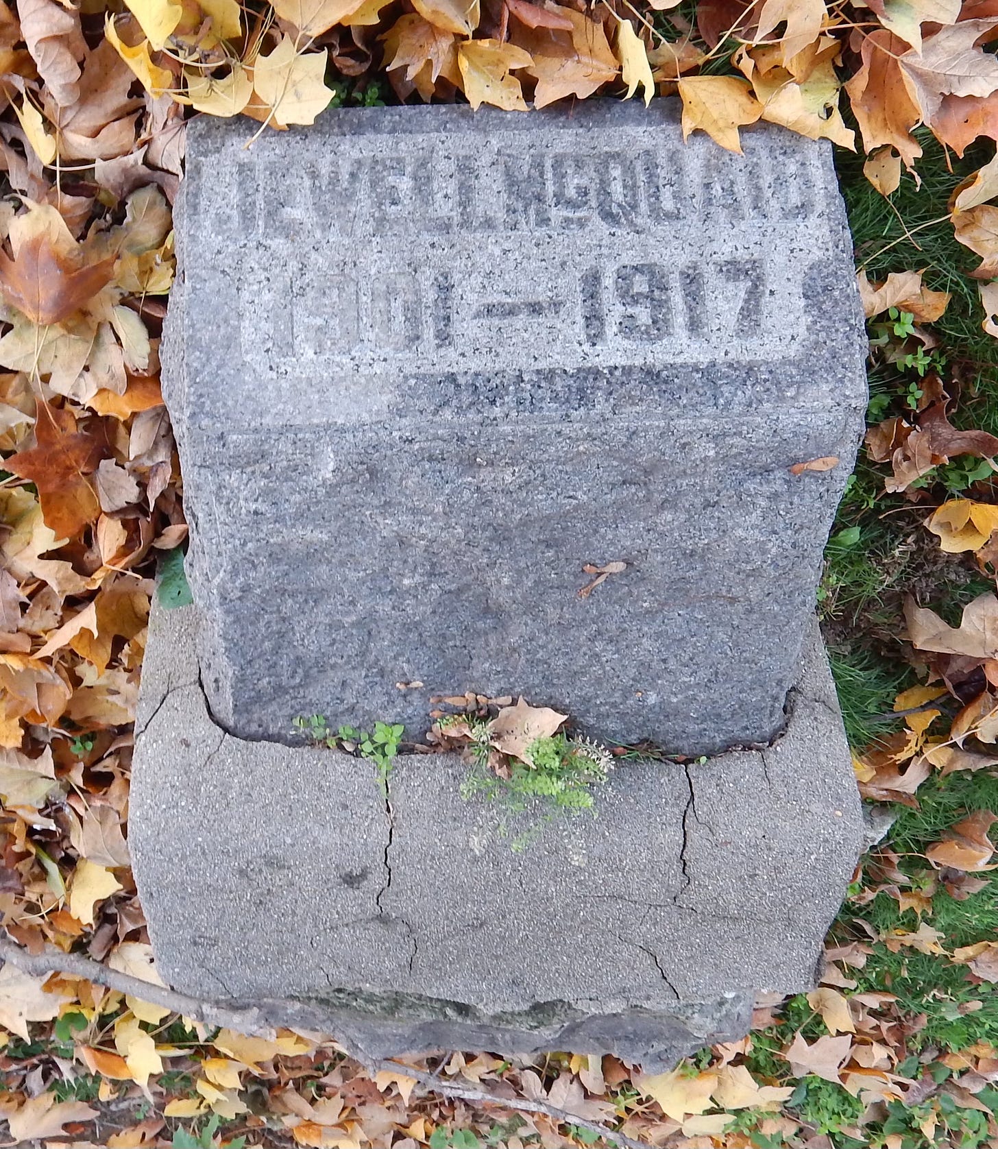 The Grave That Said Hello - by Cynthia Boatright Raleigh