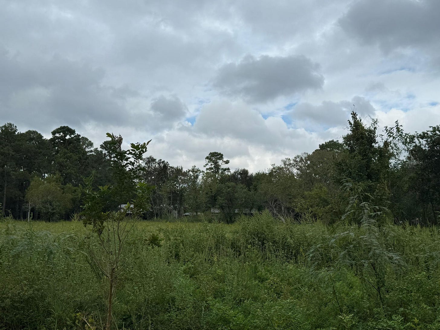 Investigating the Brutal Calder Road Murders and the Texas Killing Fields