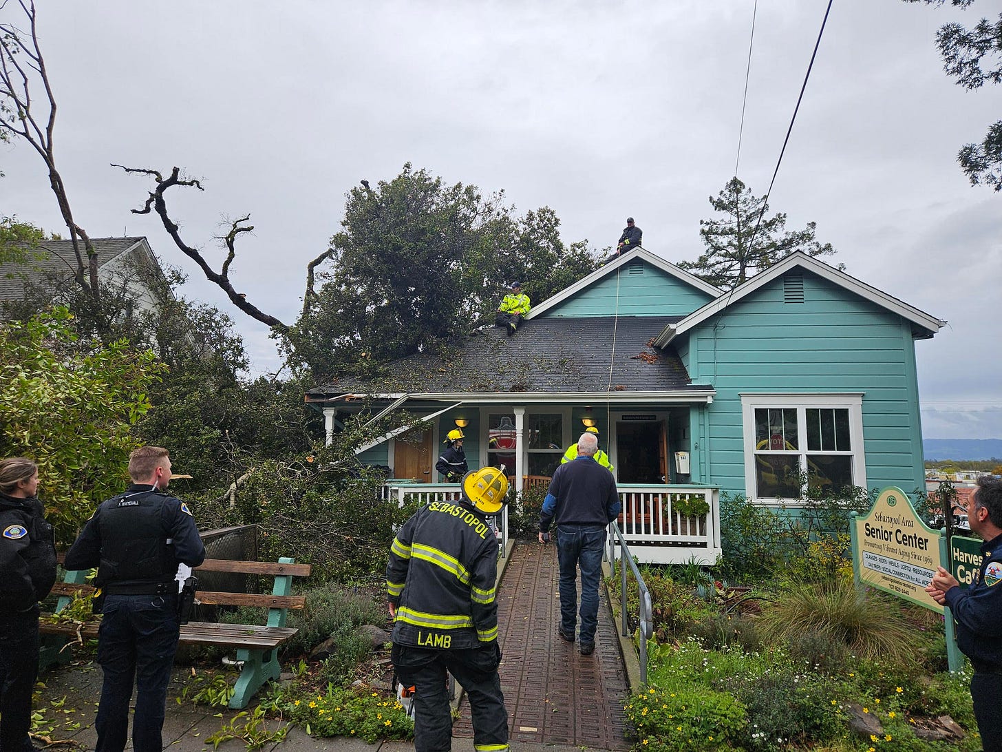 Falling tree damages Sebastopol Area Senior Center