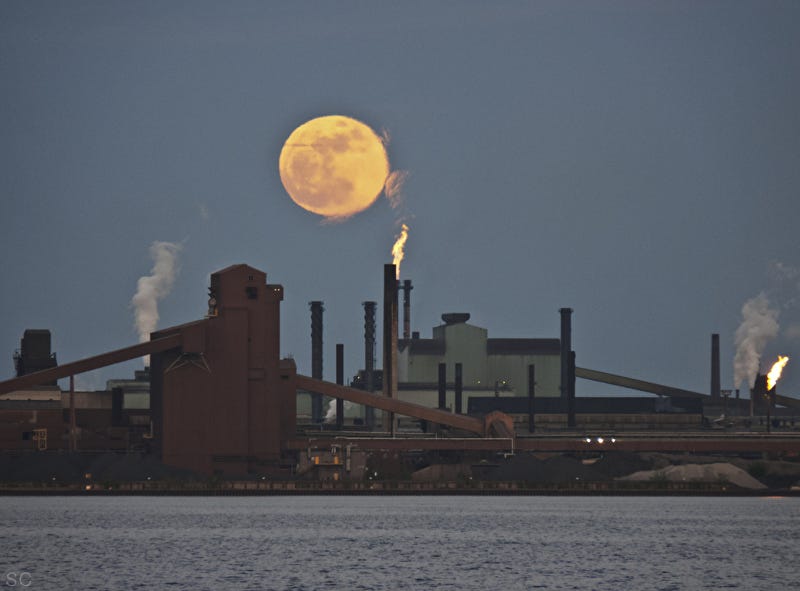 Susan Collacott - by Clintavo - BoldBrush Collector