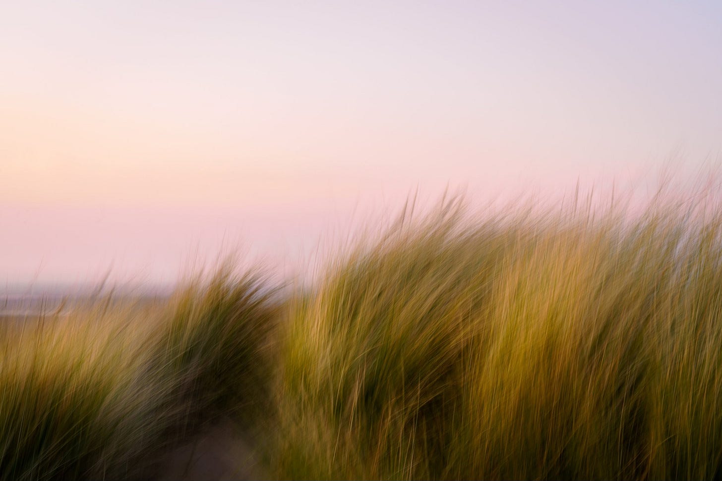 Sally Mason - by Tomasz Trzebiatowski - PHOTOSNACK