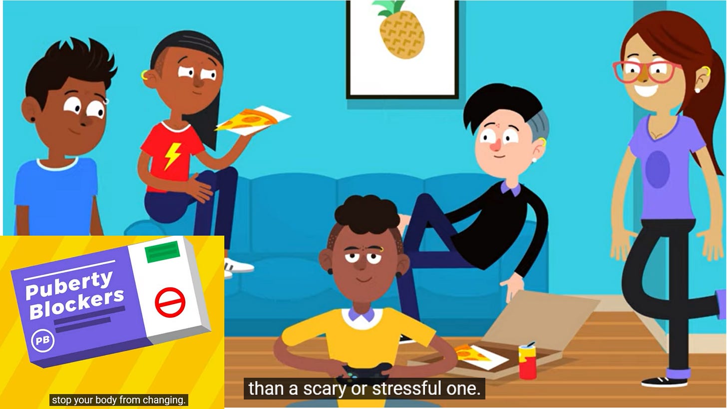 Gender Inclusive Sex Education Curriculum for Special Needs