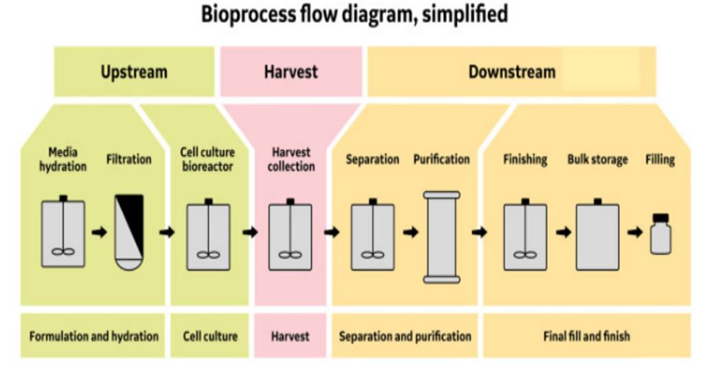 [TMO] Thermo Fisher - scuttleblurb