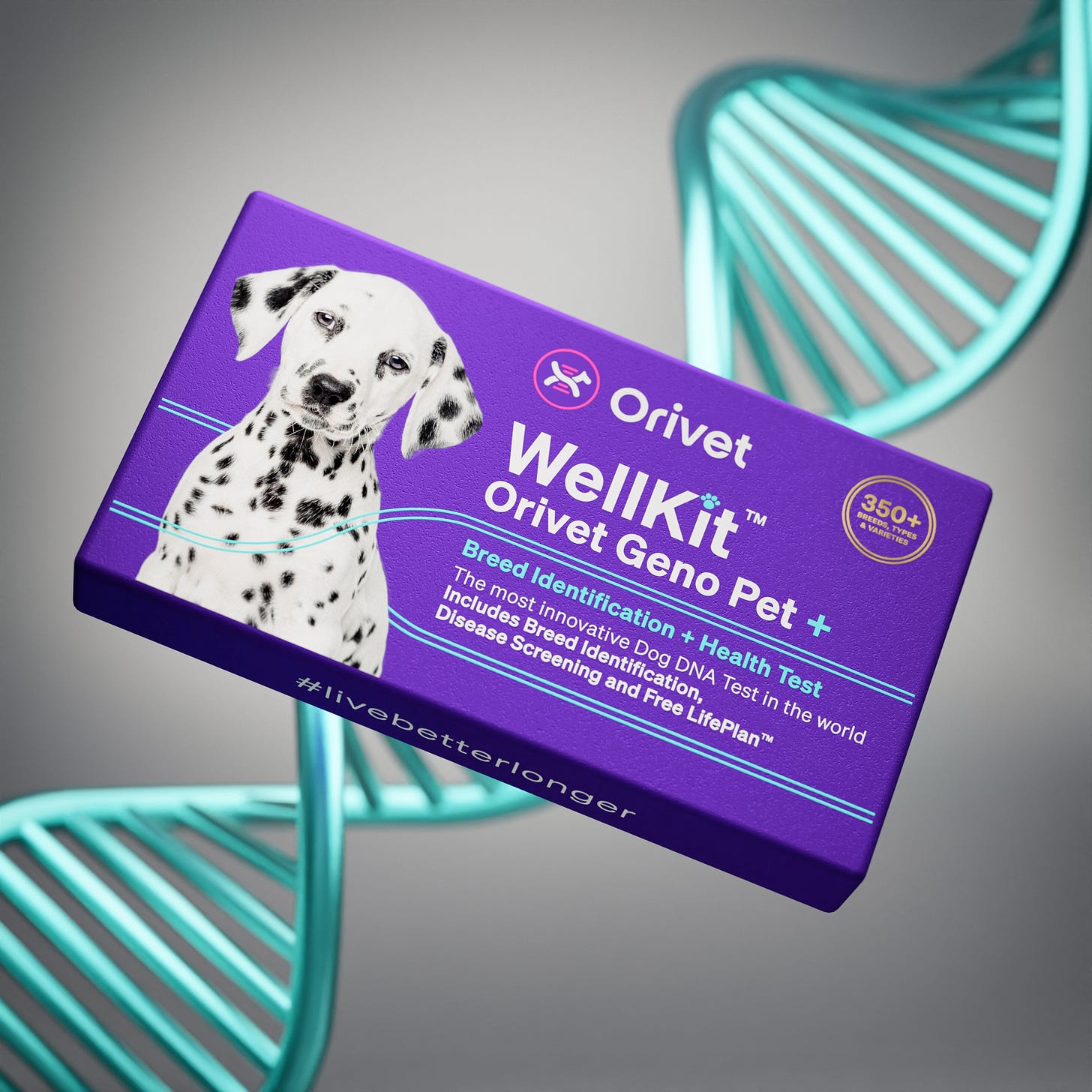 Benefits of DNA Testing for Dogs: Unraveling the Canine Genetic Code