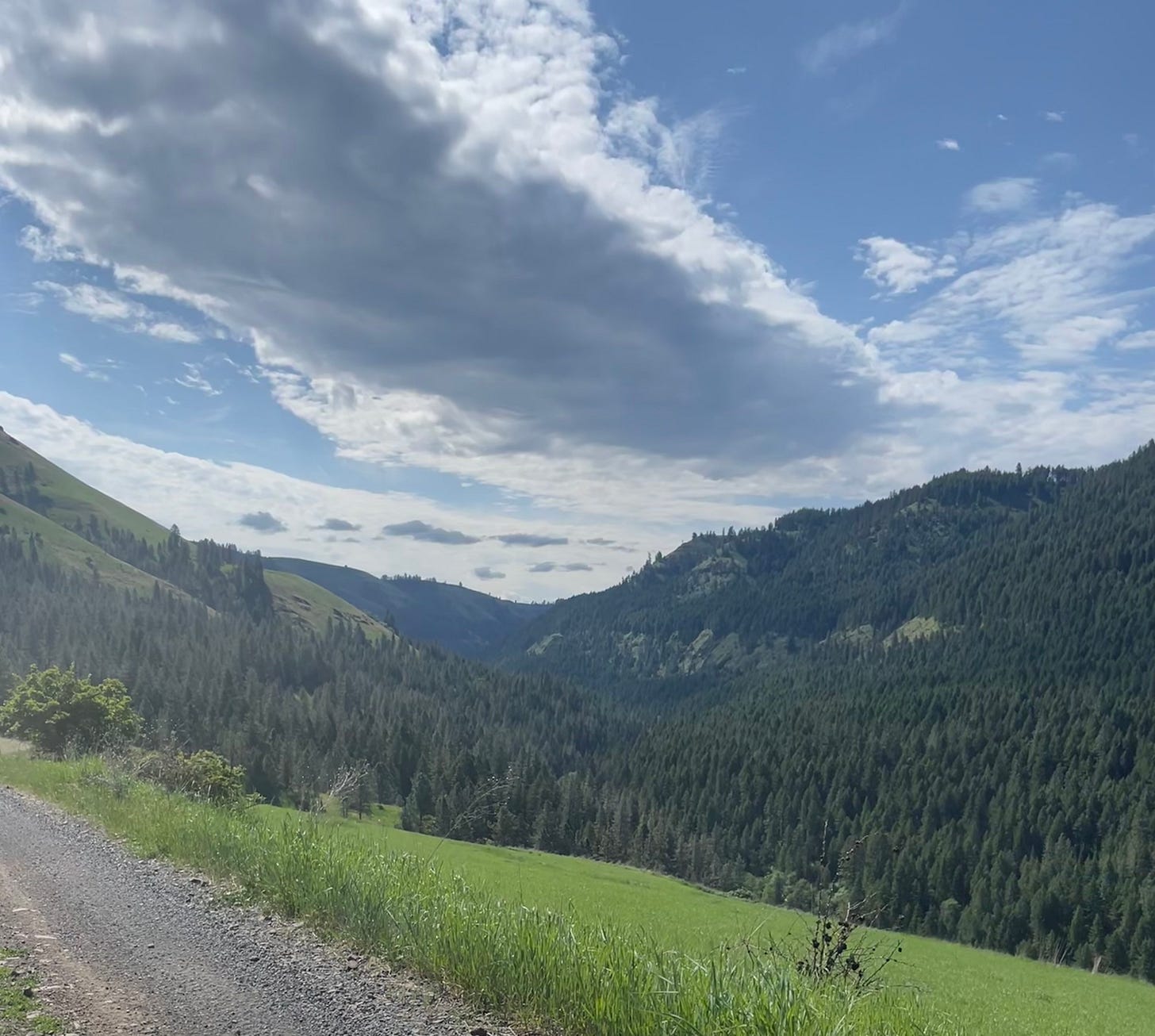 how to finish a tapestry - by Sarah C Swett - The Gusset