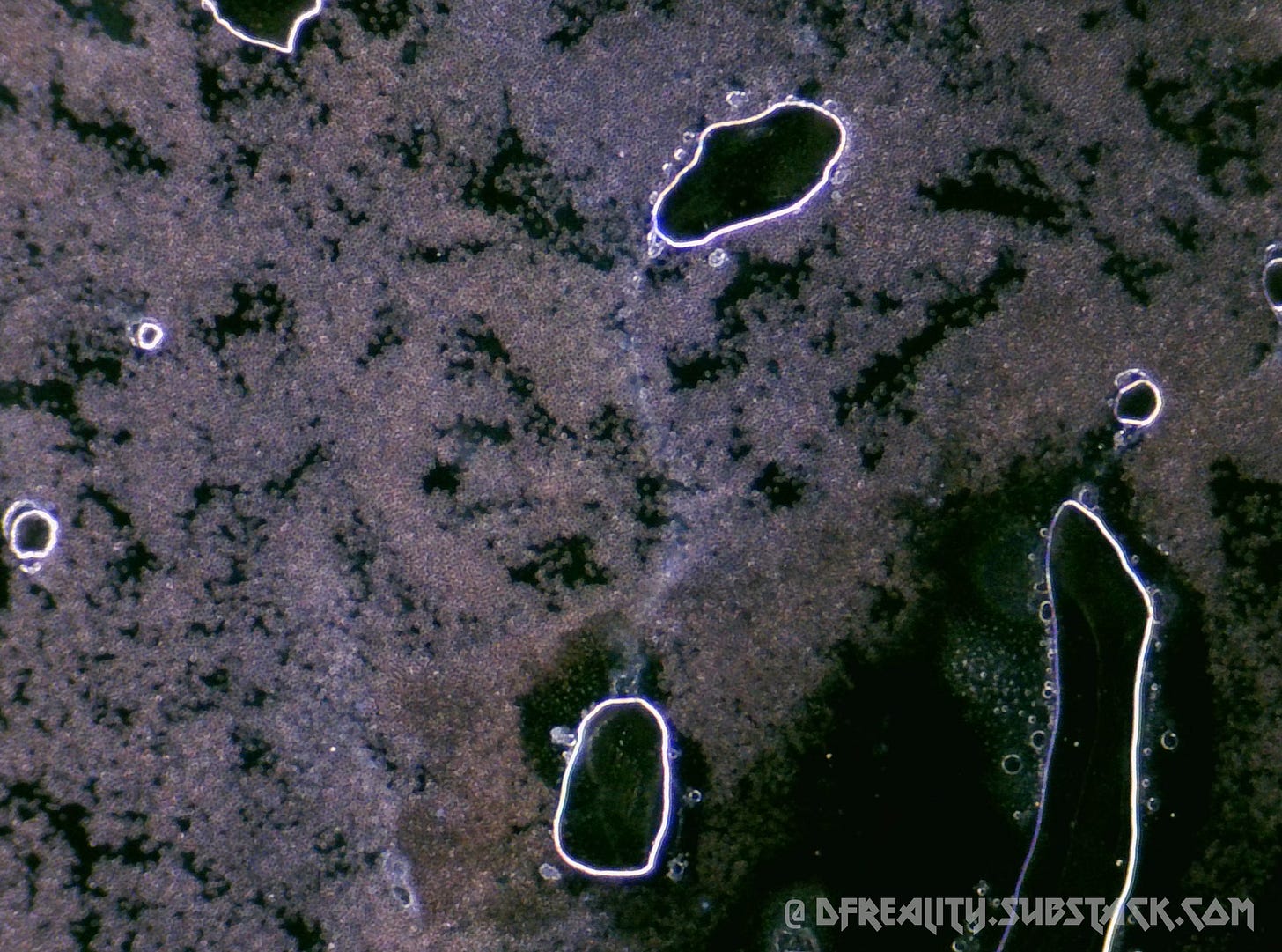 The Forced Evolution of Humanity: FIRST-HAND EVIDENCE of nanotechnology ...