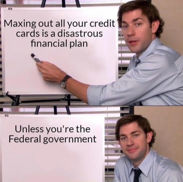 Ann Barnhardt Memes - Edwin’s Newsletter #1