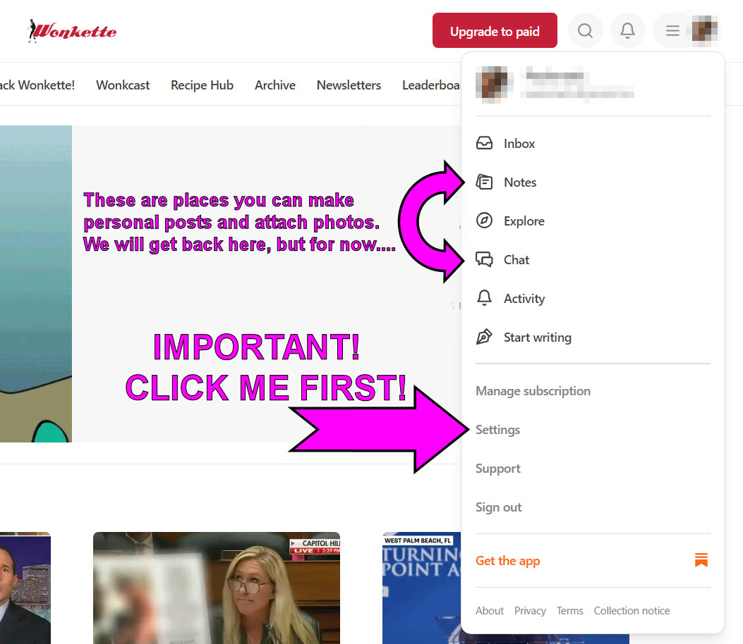 HOW TO: Substack Wonkette! - by Rebecca Schoenkopf