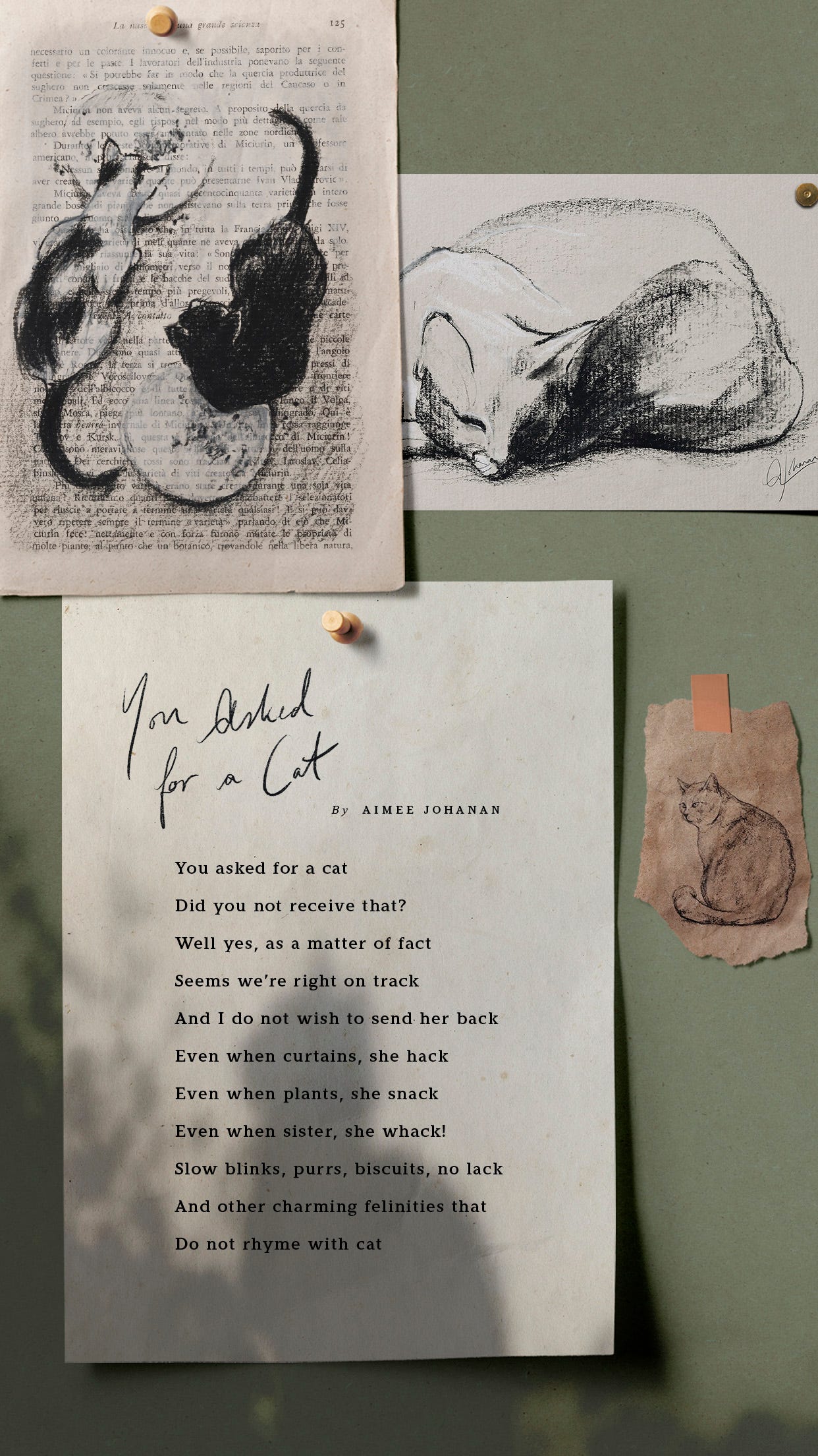 You asked for a cat ~ poem and drawing by Aimee Johanan