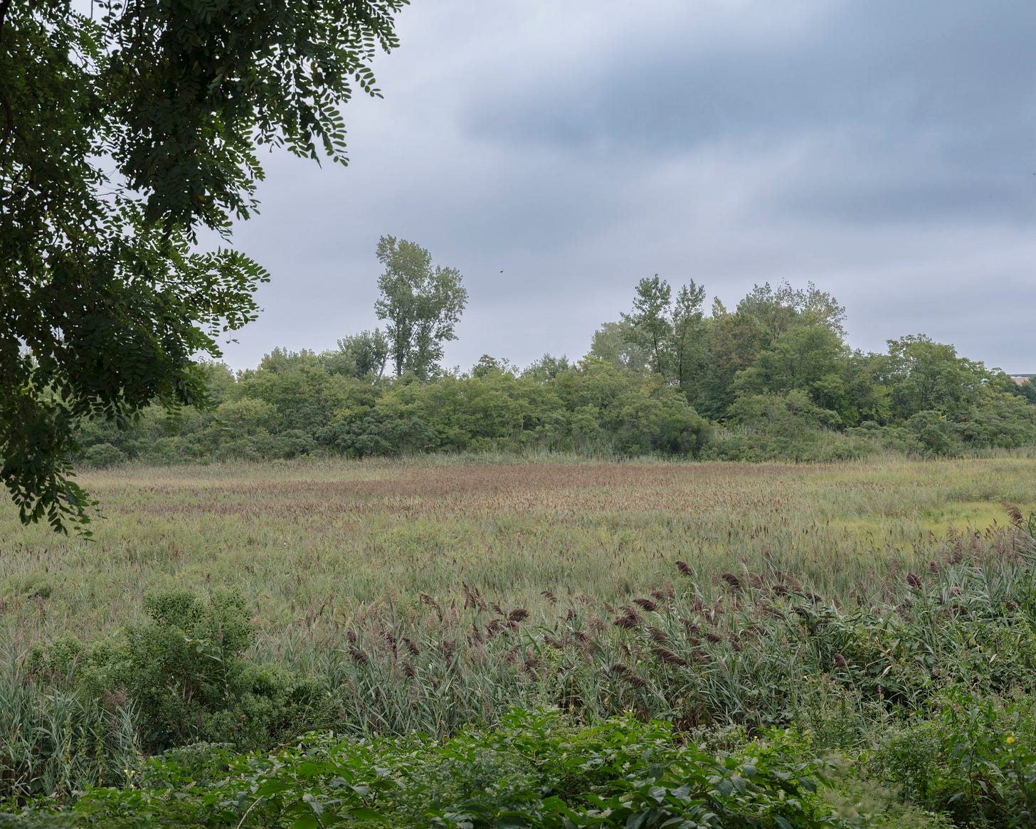 Springfield Gardens - Queens - by Rob Stephenson