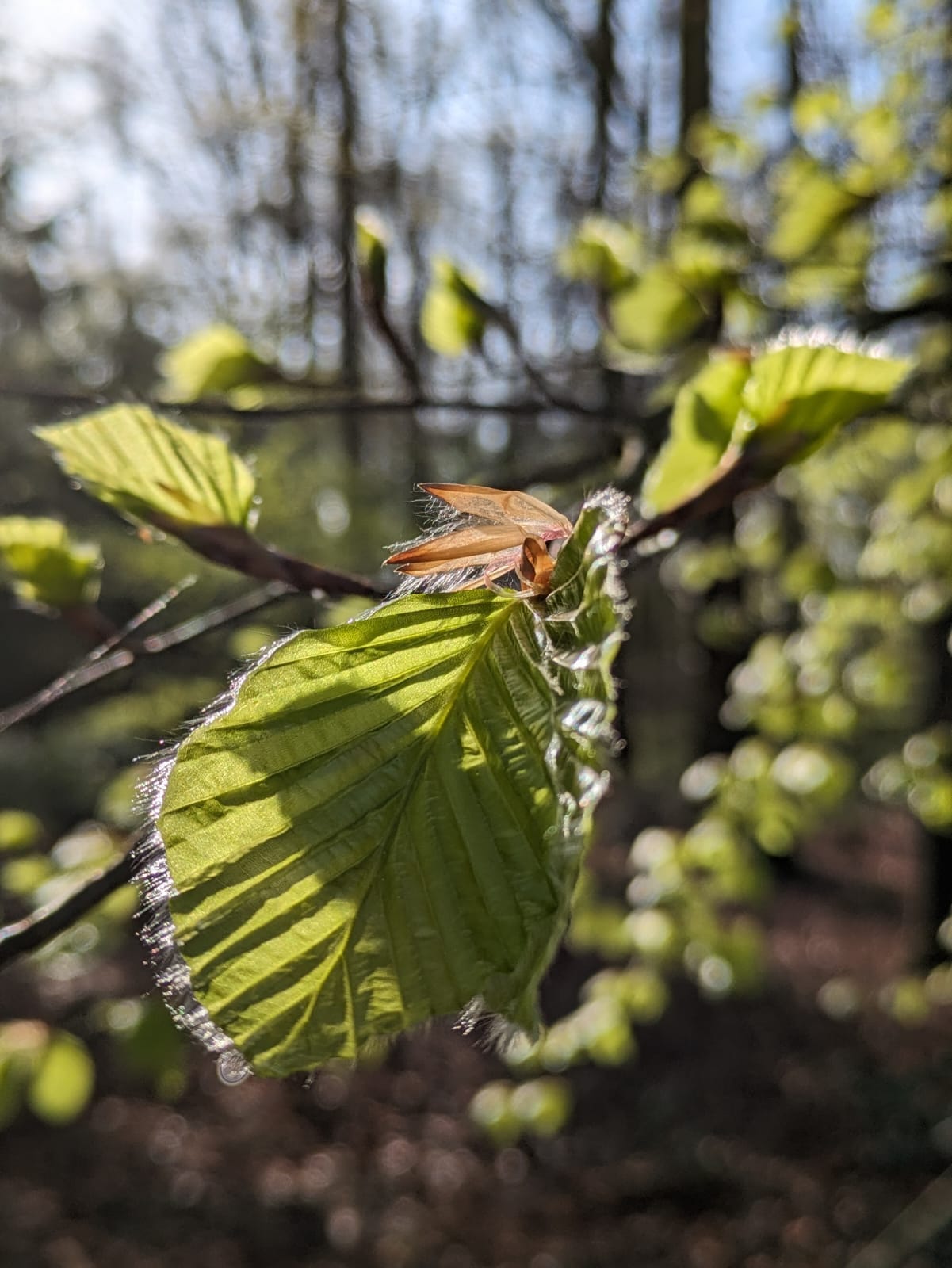 #9 New beginnings - by Emma Proud - Emma’s Substack