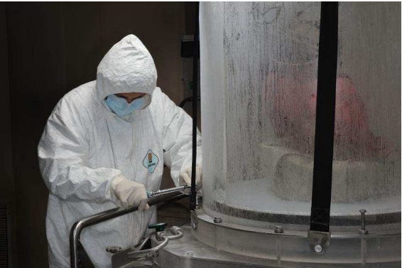 Frozen in Time: The Children of Llullaillaco and the Inca Ritual of ...