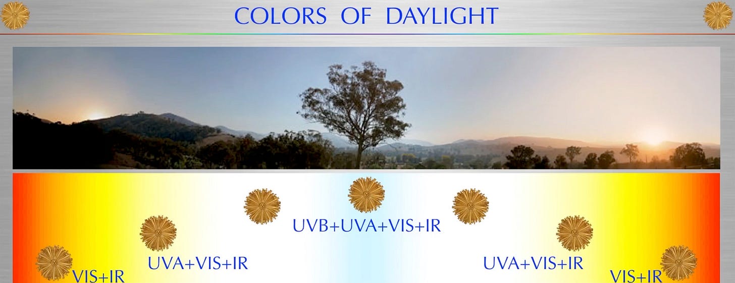 How to EMF-Proof Our Skin - Children's Health Defense Canada Chapter