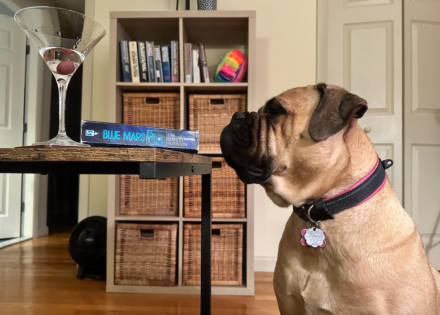 Cocktails With Suderman | Peter Suderman | Substack