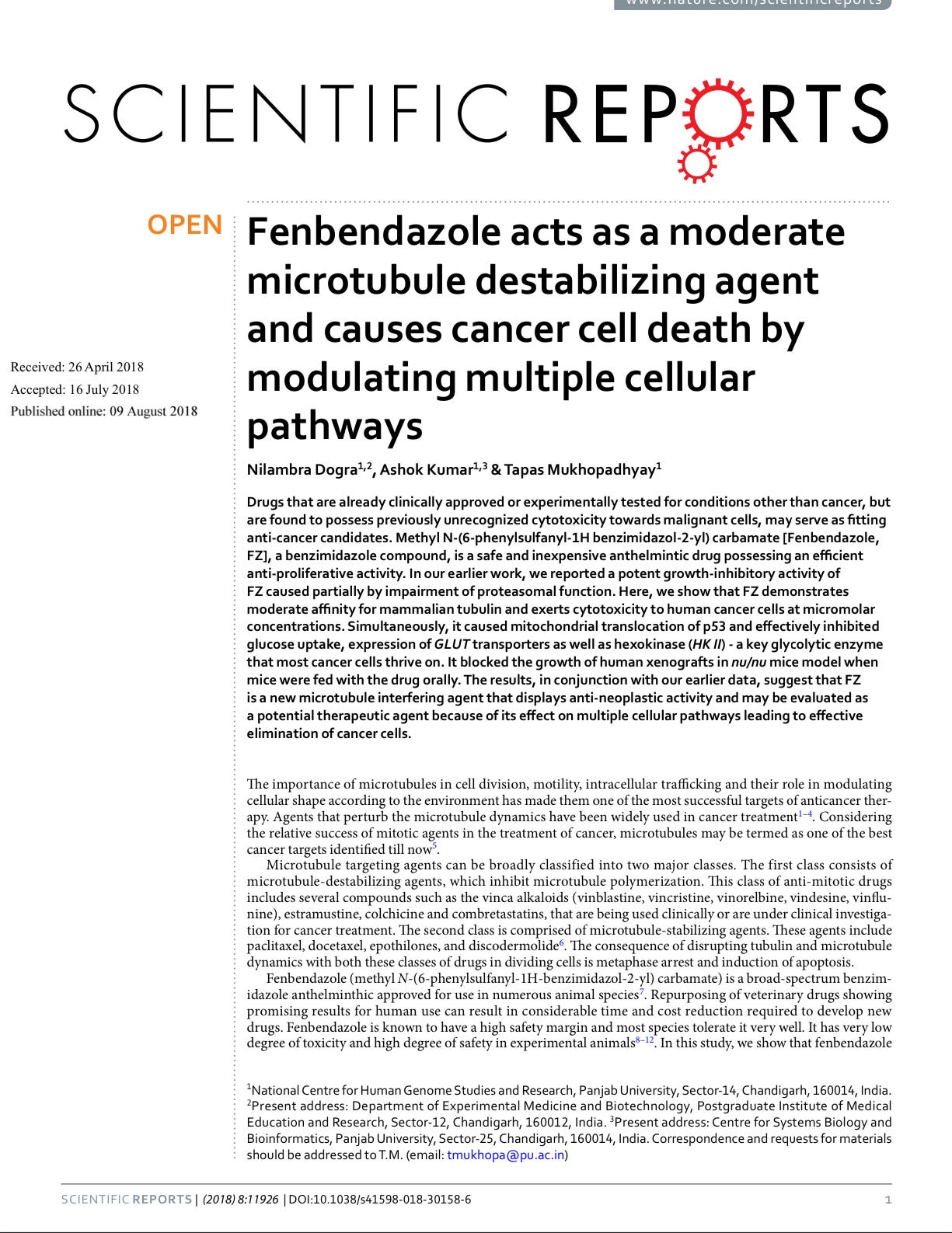 The Joe Tippins Cancer Protocol - by Dr Margaret Aranda