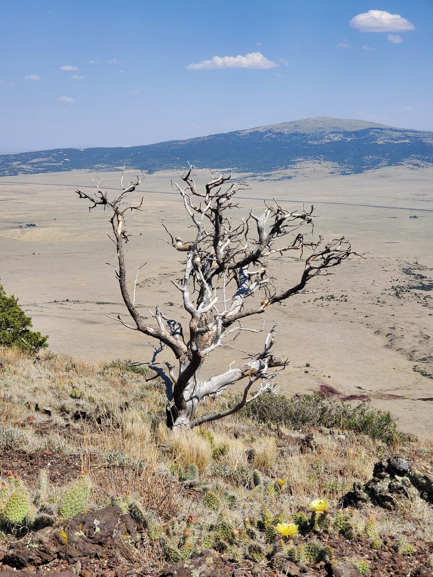 A Quick Stop at Capulin Volcano National Monument