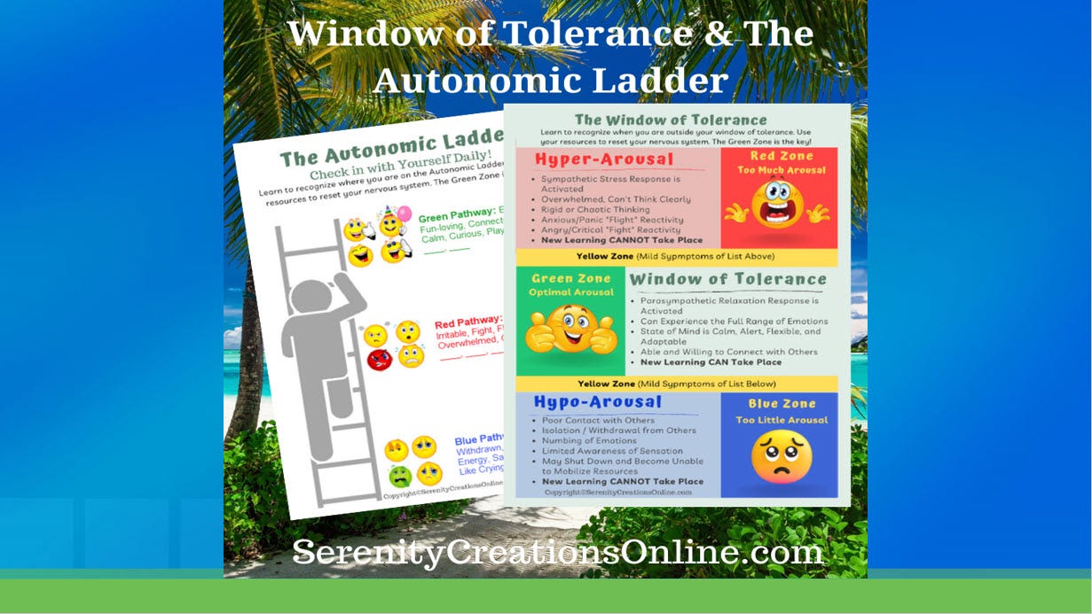 Part 13: Window of Tolerance & the Autonomic Ladder