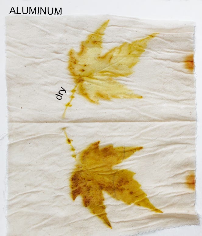 Printing with leaves - by Ania Grzeszek - Kaliko Journal