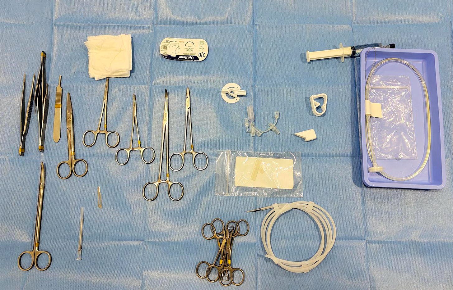 Colocación tubo PEG (gastrostomía endoscópica percutánea) en perros y gatos