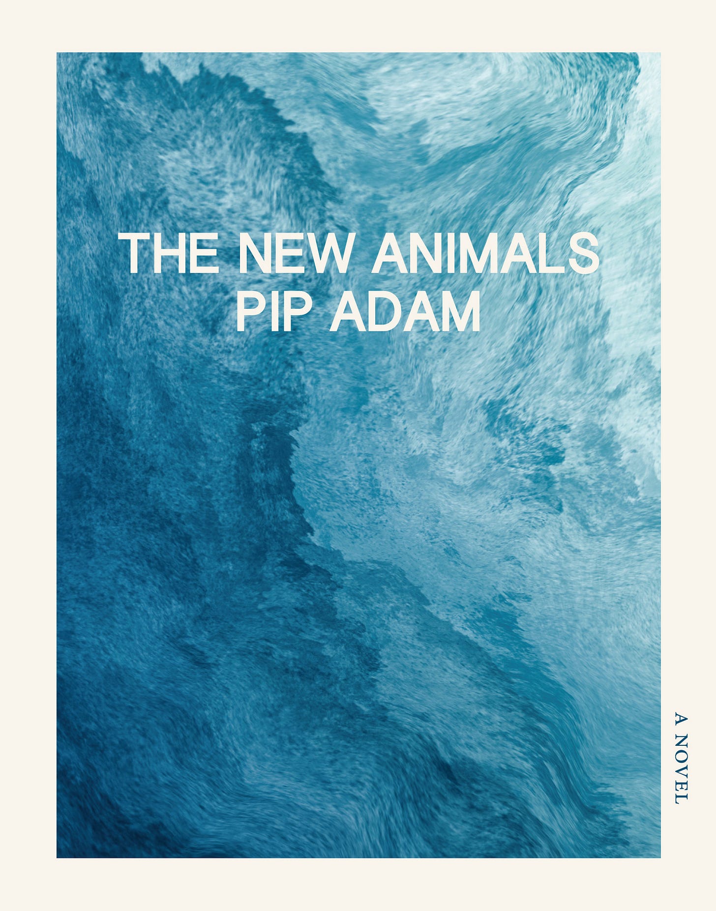 Review: Joy Williams on Pip Adam - Book Post